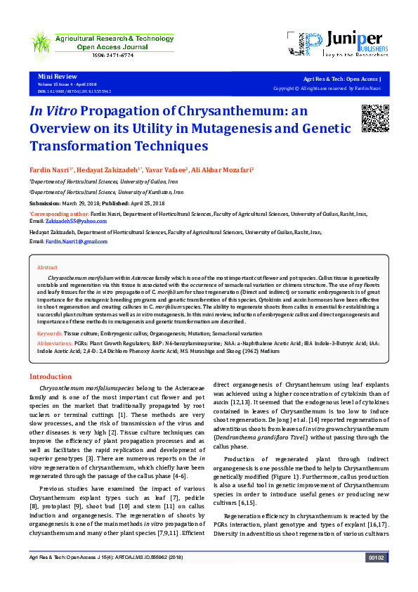(PDF) In Vitro Propagation of Chrysanthemum: an Overview on its Utility in Mutagenesis and ...