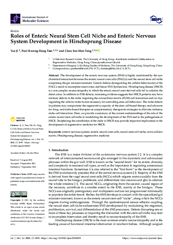 (PDF) Roles of Enteric Neural Stem Cell Niche and Enteric Nervous System Development in ...