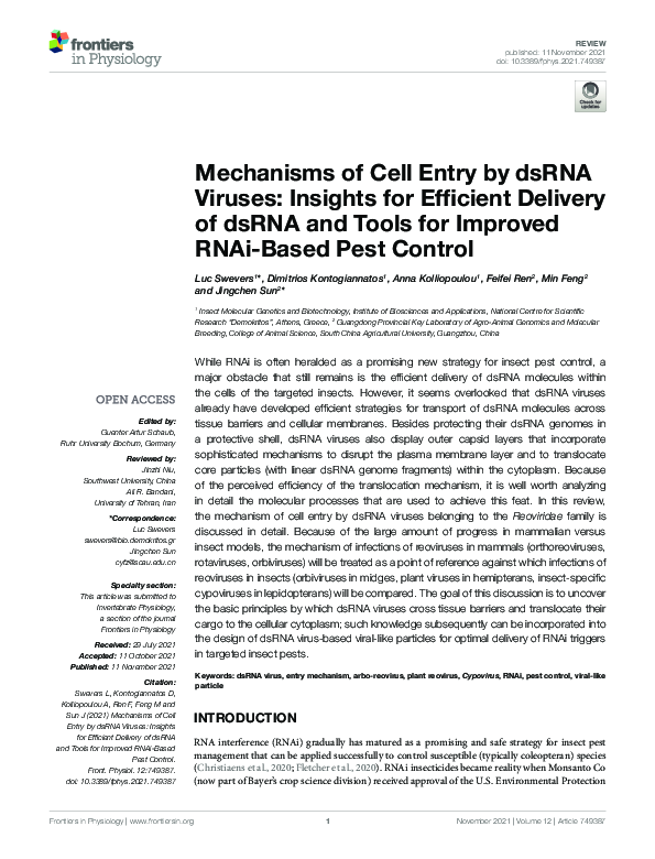 (PDF) Mechanisms of Cell Entry by dsRNA Viruses: Insights for Efficient ...