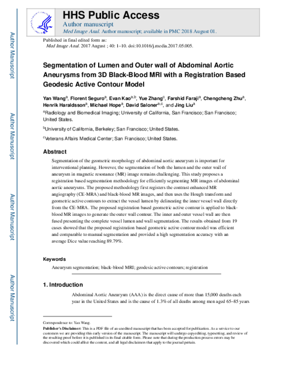 (PDF) Segmentation of lumen and outer wall of abdominal aortic aneurysms from 3D black-blood MRI ...