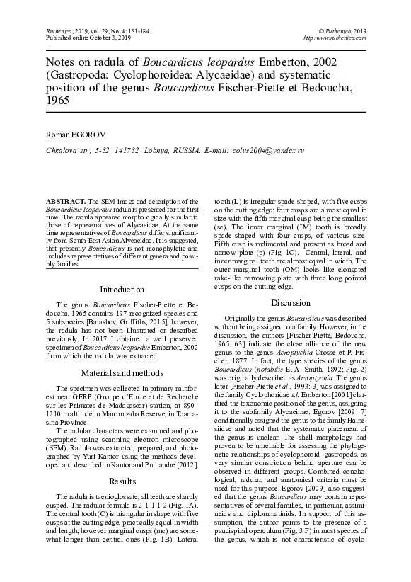(PDF) Notes on radula of Boucardicus leopardus Emberton, 2002 ...