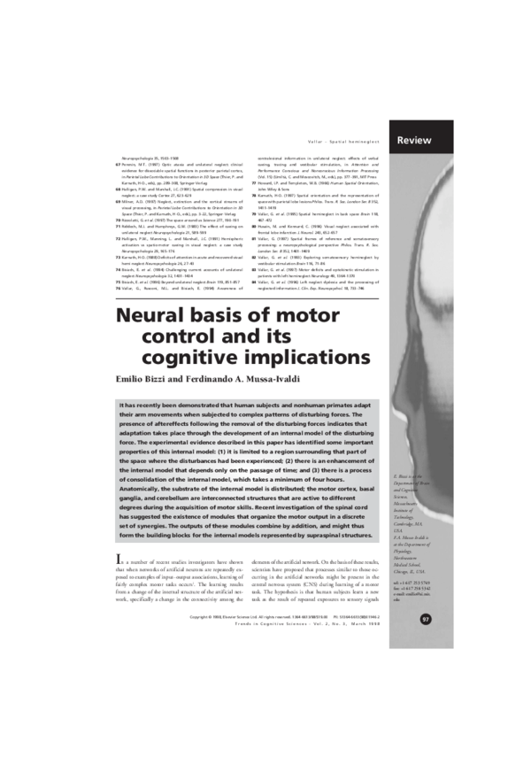 (PDF) Neural basis of motor control and its cognitive implications