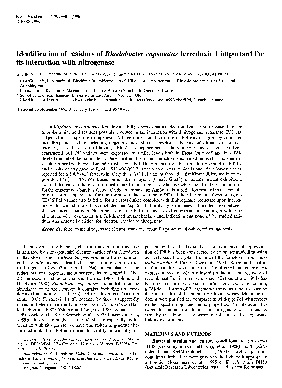 (PDF) Identification of Residues of Rhodobacter capsulatus Ferredoxin I ...
