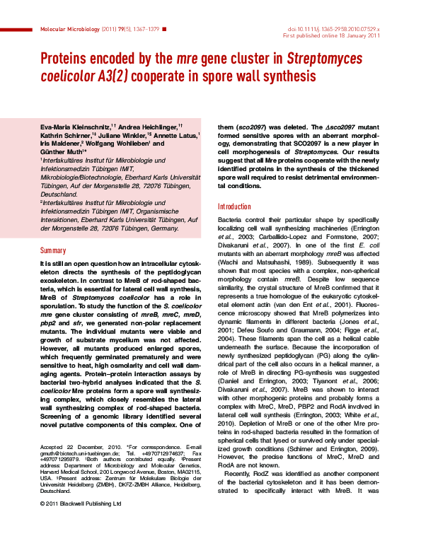 (PDF) Proteins encoded by the mre gene cluster in Streptomyces ...