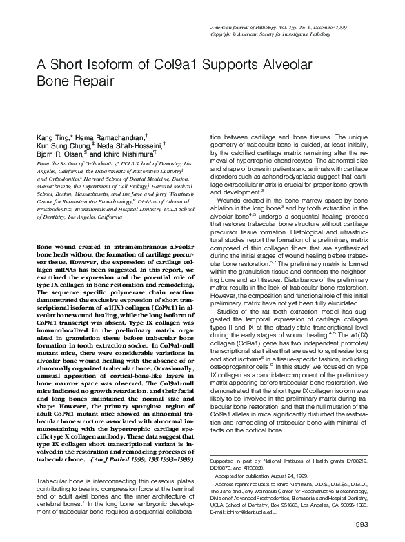 (PDF) A Short Isoform of Col9a1 Supports Alveolar Bone Repair