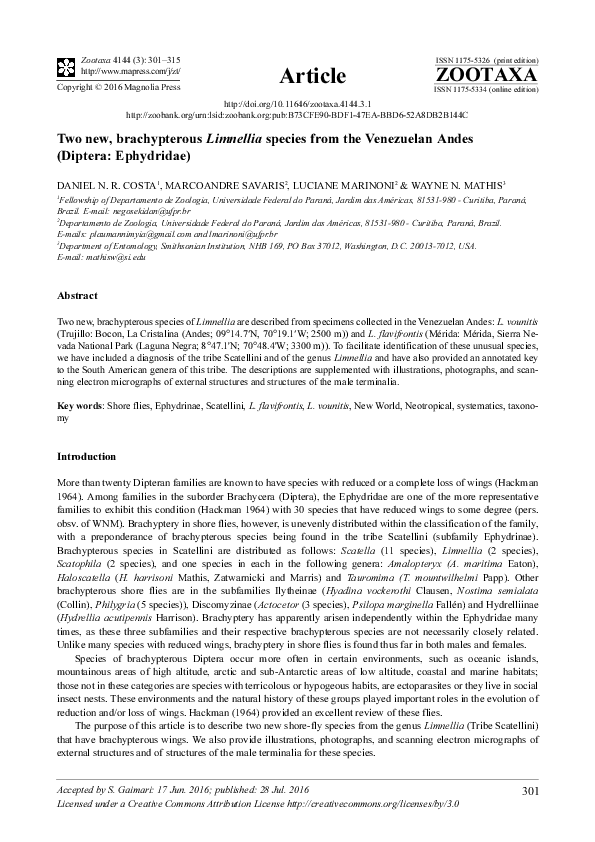 (PDF) Two new, brachypterous Limnellia species from the Venezuelan ...