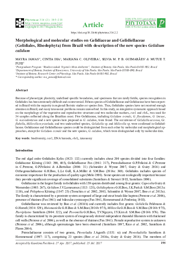 (PDF) Morphological and molecular studies on Gelidiaceae and ...