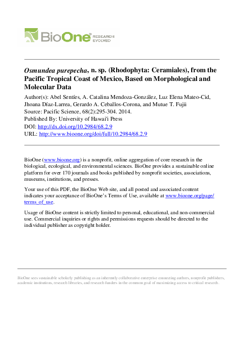 (PDF) Osmundea purepecha, n. sp. (Rhodophyta: Ceramiales), from the ...