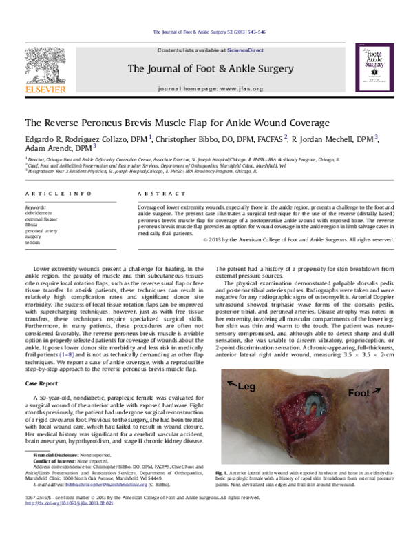 (PDF) The Reverse Peroneus Brevis Muscle Flap for Ankle Wound Coverage