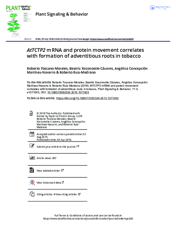 (PDF) AtTCTP2 mRNA and protein movement correlates with formation of ...