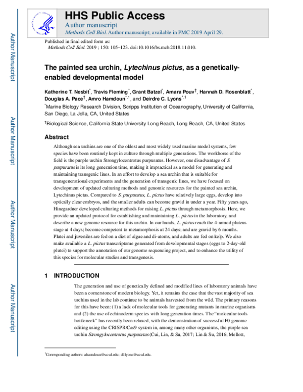 (PDF) The painted sea urchin, Lytechinus pictus, as a genetically ...
