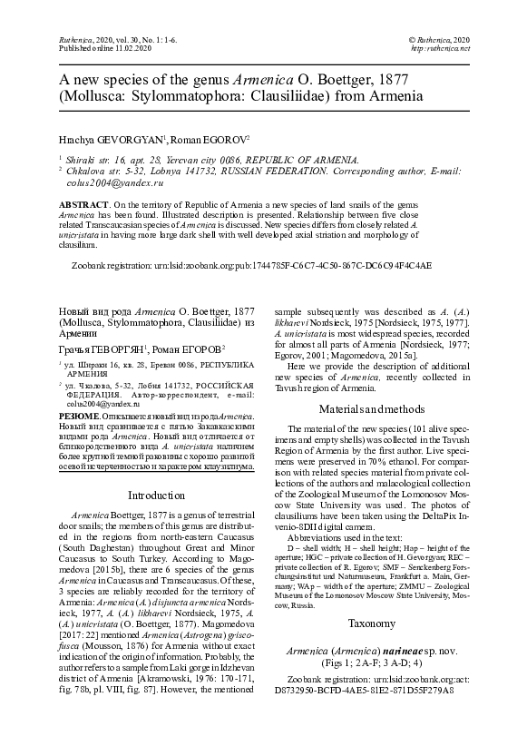(PDF) A new species of the genus Armenica O. Boettger, 1877 (Mollusca ...