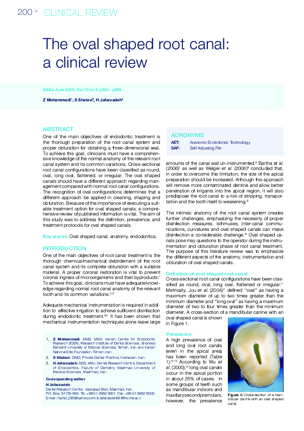 (PDF) The oval shaped, root canal: A clinical review