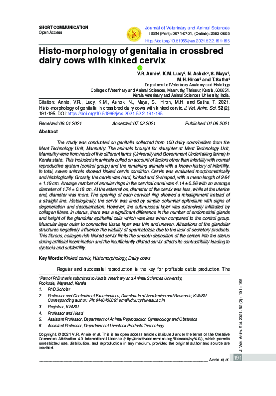(PDF) Histo-morphology of genitalia in crossbred dairy cows with kinked ...