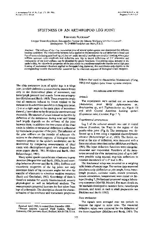 (PDF) Stiffness of an arthropod leg joint