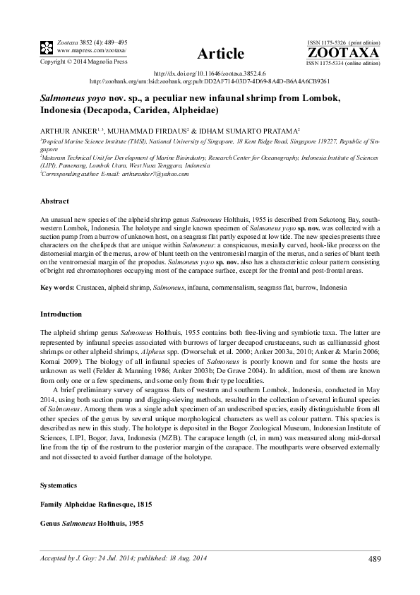 (PDF) Salmoneus yoyo nov. sp., a peculiar new infaunal shrimp from ...