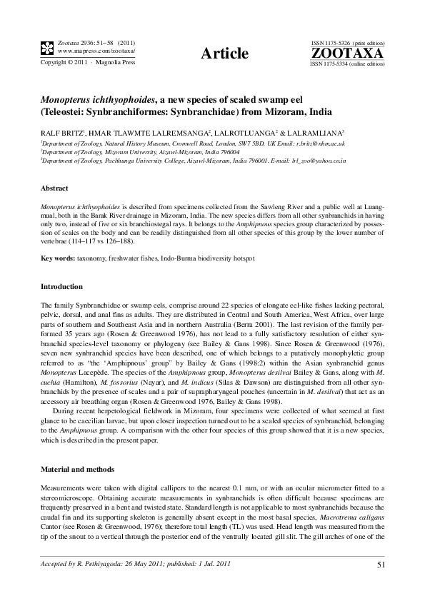 (PDF) Monopterus ichthyophoides, a new species of scaled swamp eel ...