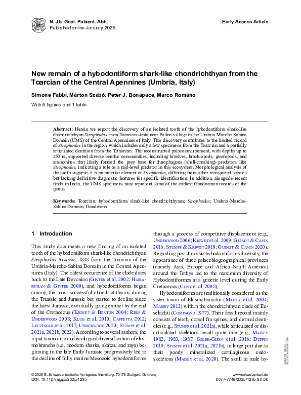 (PDF) New remain of a hybodontiform shark-like chondrichthyan from the ...