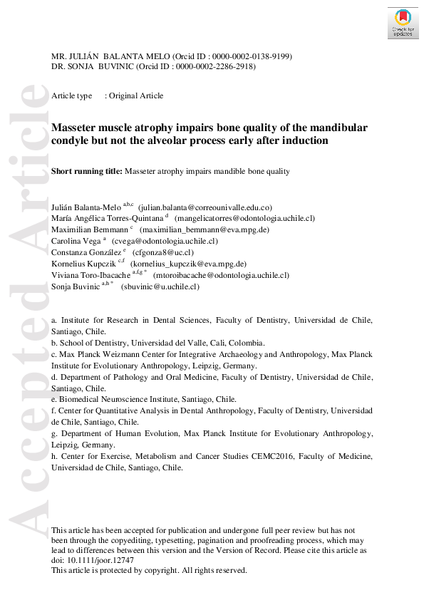 (PDF) Masseter muscle atrophy impairs bone quality of the mandibular ...