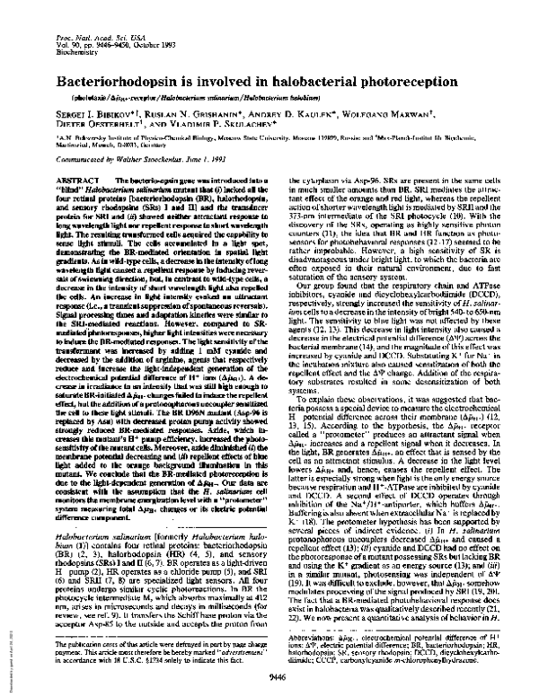 (PDF) Bacteriorhodopsin is involved in halobacterial photoreception