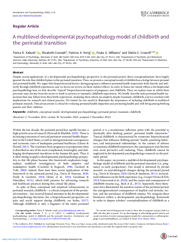 (PDF) A multilevel developmental psychopathology model of childbirth ...
