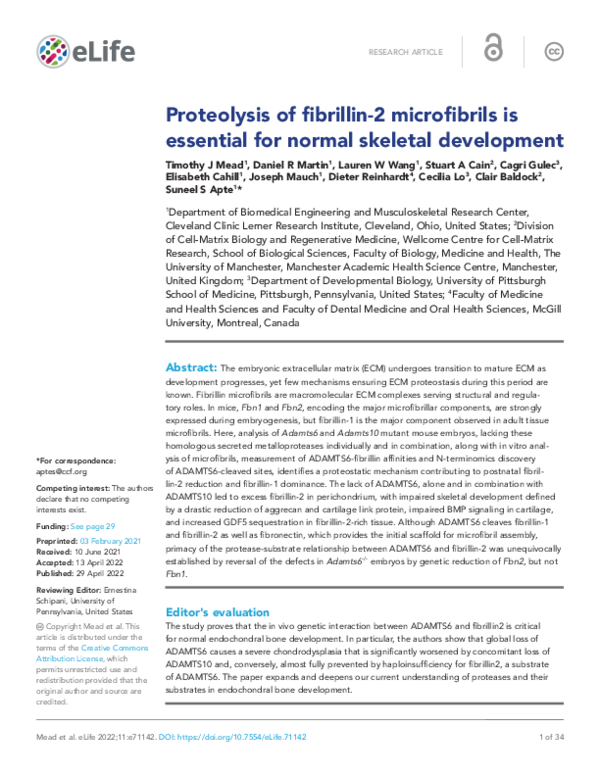 (PDF) Proteolysis of fibrillin-2 microfibrils is essential for normal ...