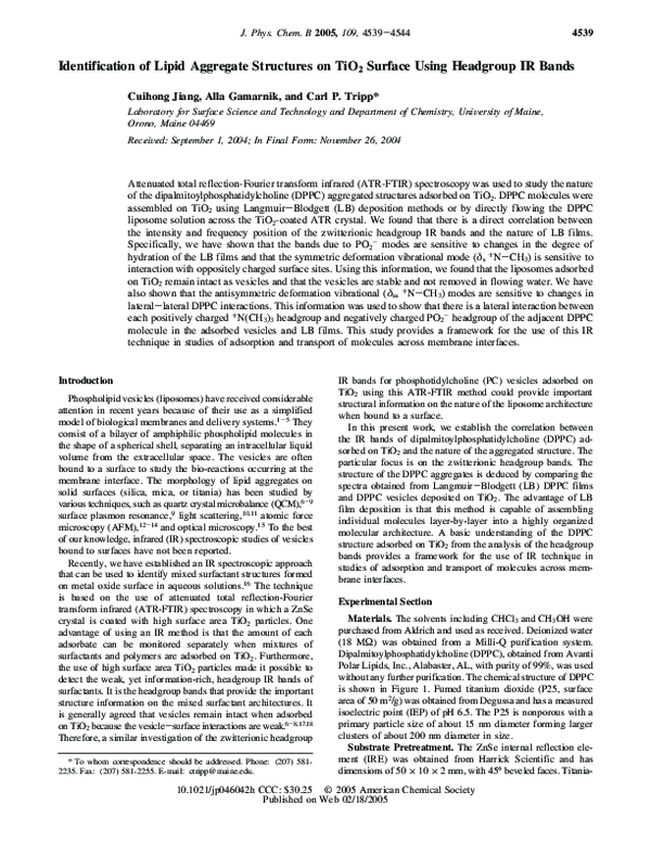(PDF) Identification of Lipid Aggregate Structures on TiO2 Surface Using Headgroup IR Bands