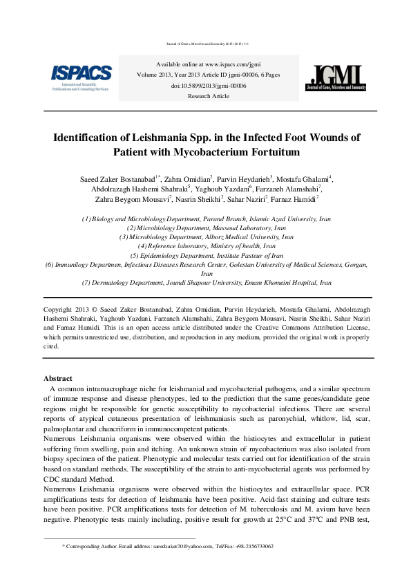 (PDF) Identification of Leishmania Spp. in the Infected Foot Wounds of ...