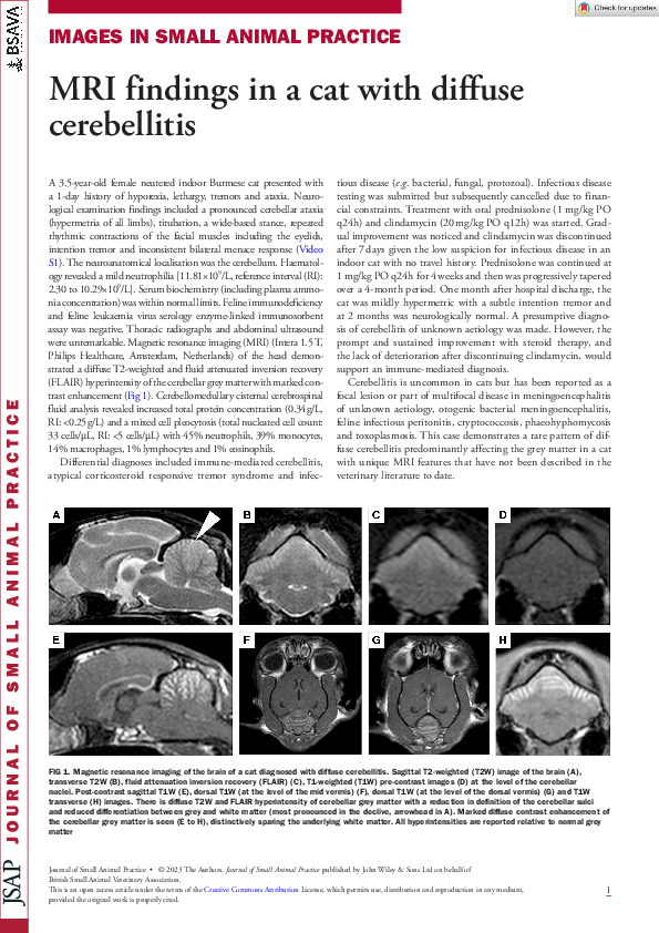 (PDF) MRI findings in a cat with diffuse cerebellitis