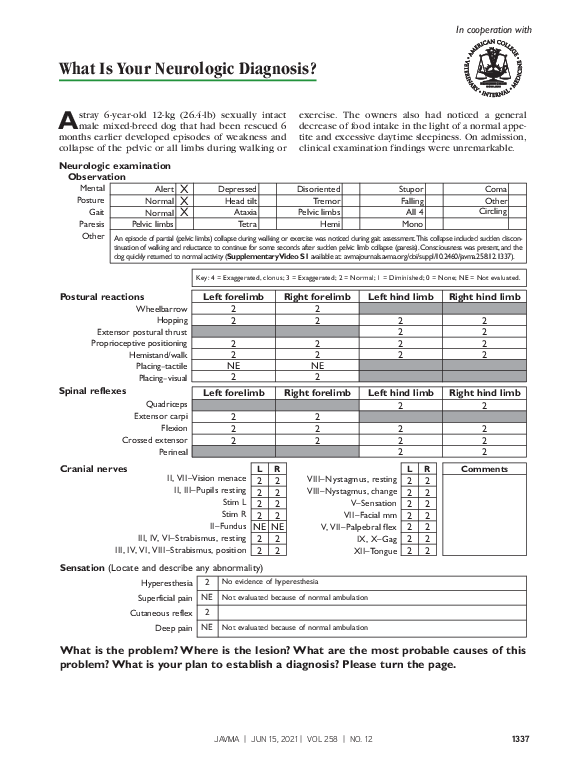 (PDF) What is your neurologic diagnosis - Primary narcolepsy in a ...