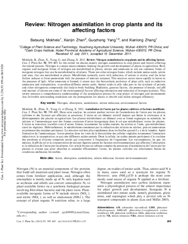 (PDF) Review: Nitrogen assimilation in crop plants and its affecting ...