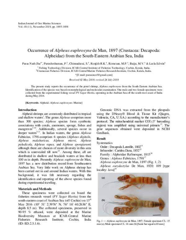 (PDF) Occurrence of Alpheus euphrosyne de Man, 1897 (Crustacea ...