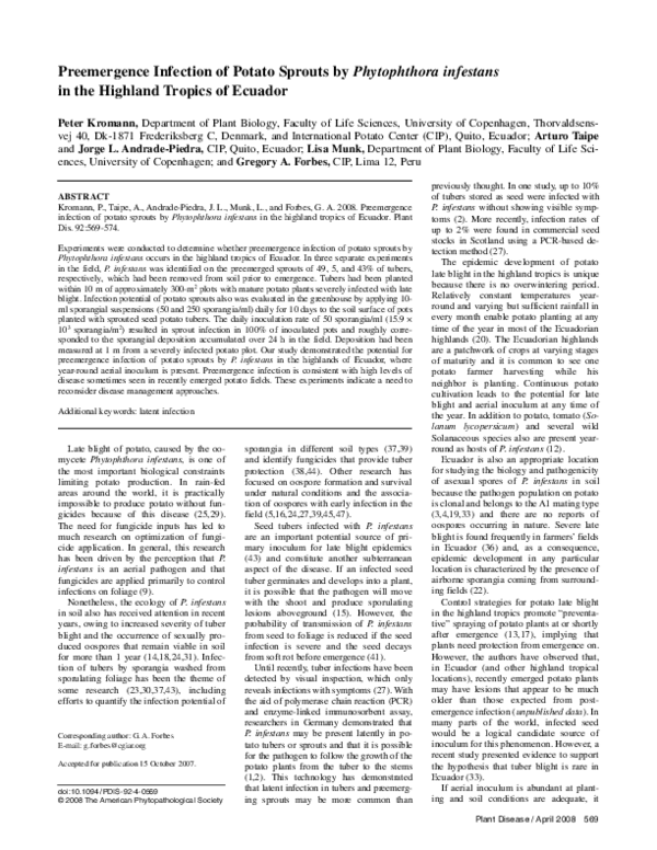 (PDF) Preemergence Infection of Potato Sprouts by Phytophthora ...
