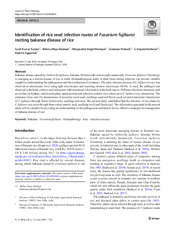 (PDF) Identification of rice seed infection routes of Fusarium ...