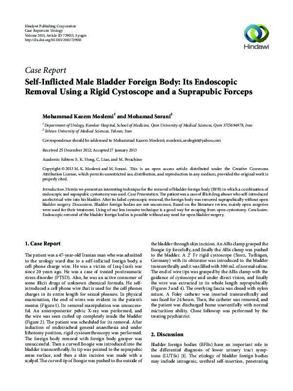 (PDF) Self-Inflicted Male Bladder Foreign Body: Its Endoscopic Removal ...
