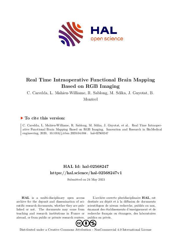 (PDF) Real Time Intraoperative Functional Brain Mapping Based on RGB Imaging