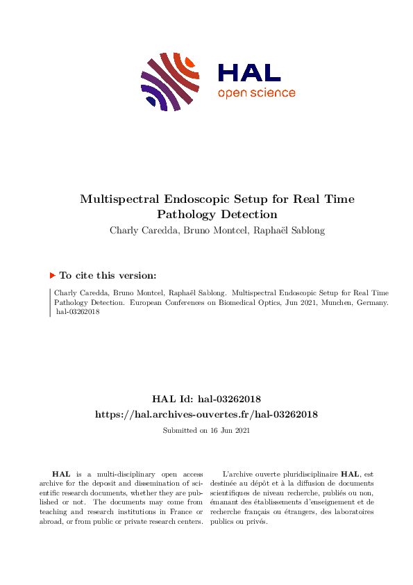 (PDF) Multispectral endoscopic setup for real time pathology detection