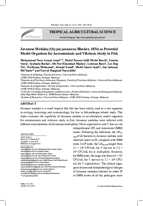 Javanese medaka (Oryzias javanicus Bleeker, 1854) as potential model ...