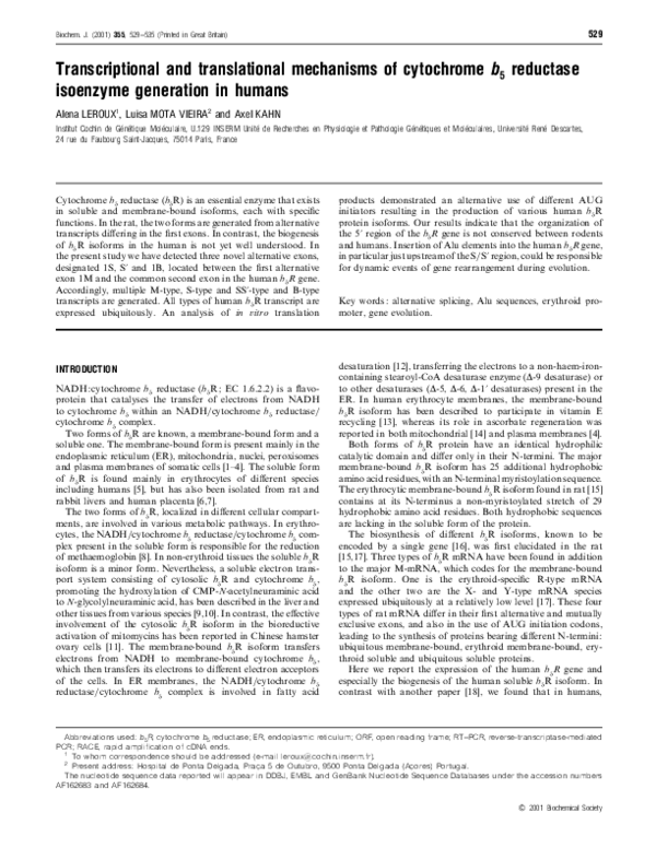 (PDF) Transcriptional and translational mechanisms of cytochrome b5 ...