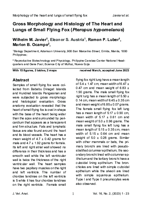 (PDF) Gross Morphology and Histology of The Heart and Lungs of Small ...