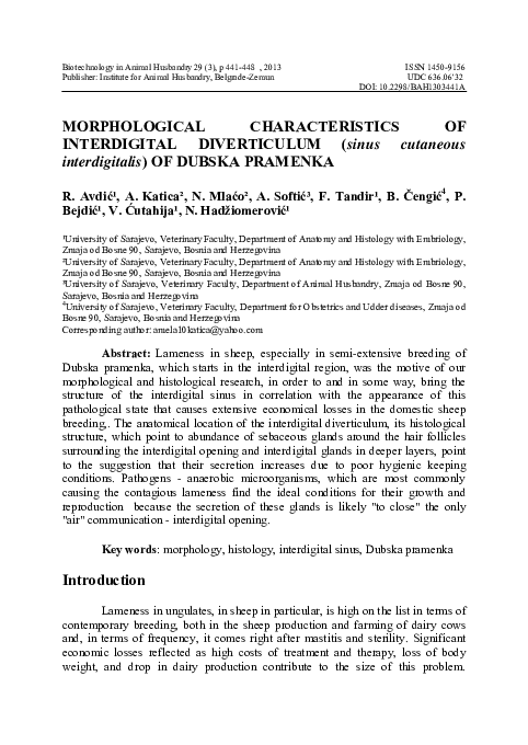 (PDF) Morphological characteristics of interdigital diverticulum (sinus ...