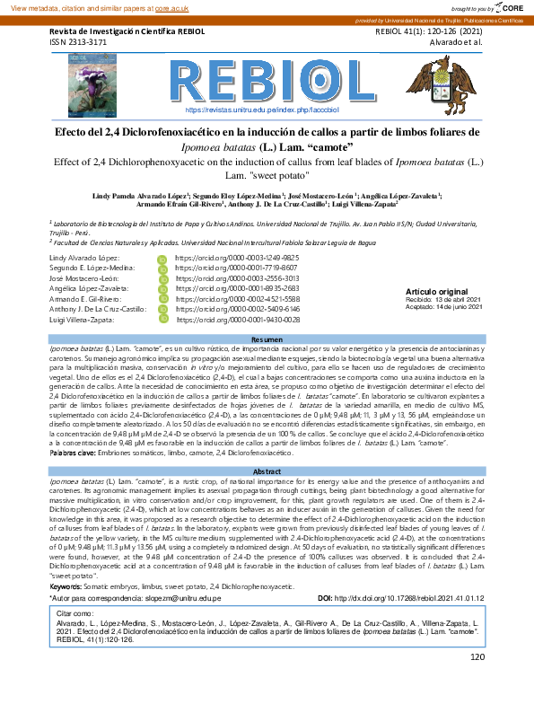 (PDF) Efecto del 2,4 Diclorofenoxiacético en la inducción de callos a ...