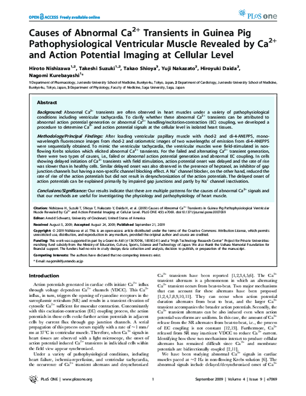 (PDF) Causes of Abnormal Ca2+ Transients in Guinea Pig Pathophysiological Ventricular Muscle ...