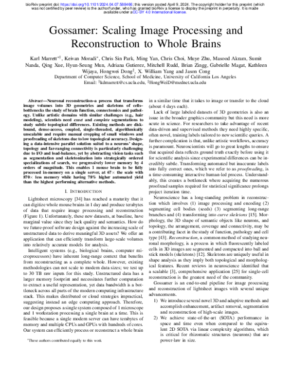 (PDF) Gossamer: Scaling Image Processing and Reconstruction to Whole Brains