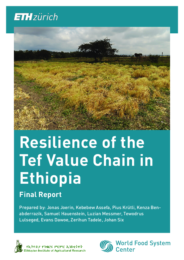 (PDF) Resilience of the Tef Value Chain in Ethiopia – Final report