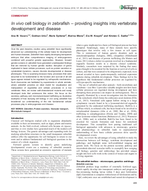 (PDF) In vivo cell biology in zebrafish – providing insights into ...
