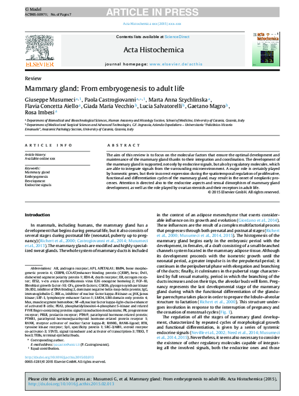 (PDF) Mammary gland: From embryogenesis to adult life