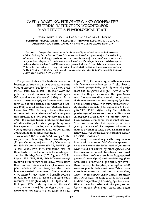 (PDF) Cavity Roosting, Philopatry, and Cooperative Breeding in the ...