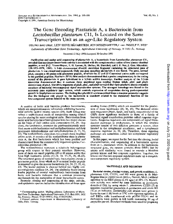 Pdf The Gene Encoding Plantaricin A A Bacteriocin From Lactobacillus Plantarum C11 Is