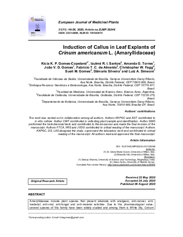 (PDF) Induction of Callus in Leaf Explants of Crinum americanum L ...